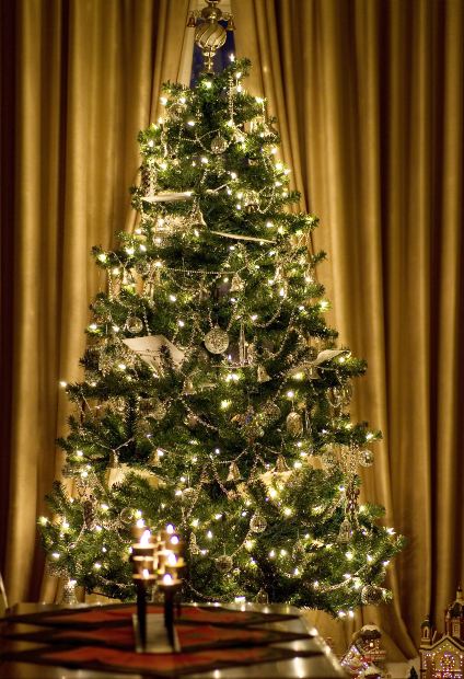 The Tradition Of Christmas Trees Christmas Gifts the-tradition-of-christmas-trees-christmas-gifts